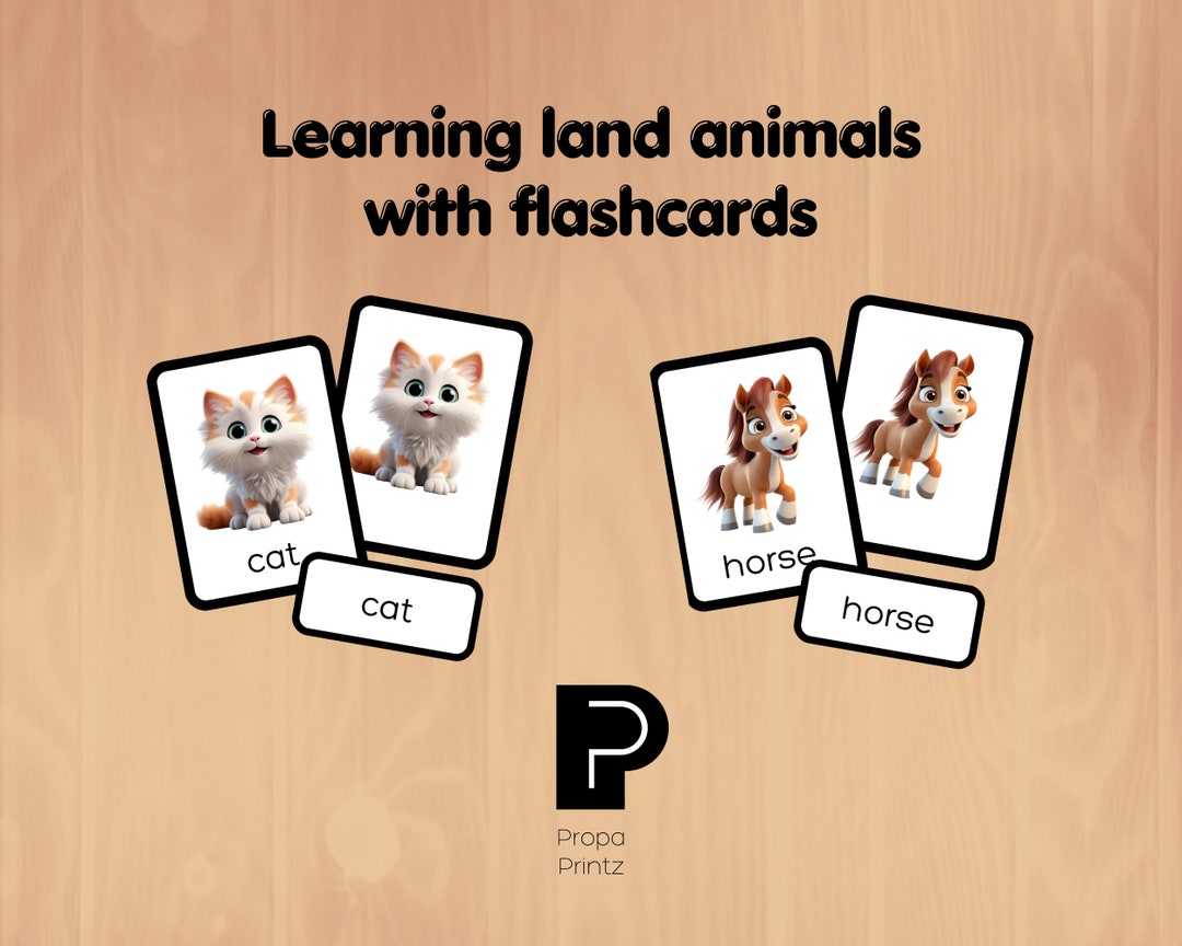Learning Animals Flashcard Set, Preschool Early Years Learning ...