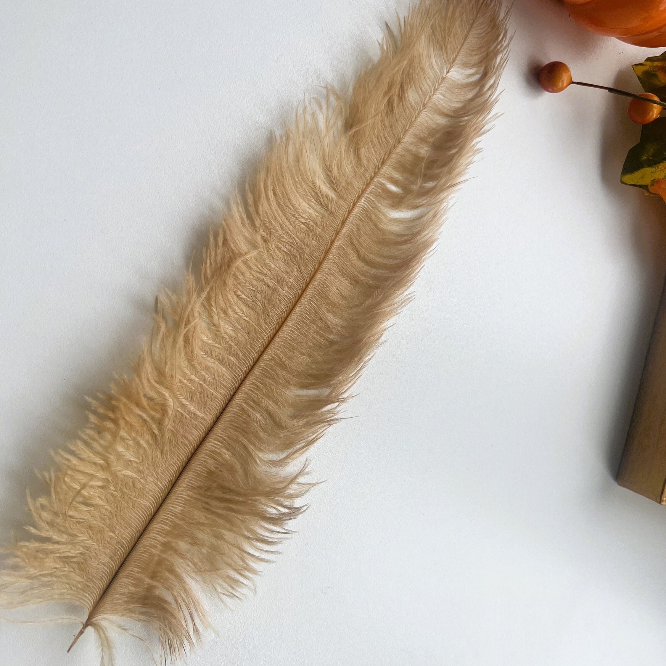 2pcs Coloured Ostrich Feather 25-30cm, Great for Weddings, Crafting ...