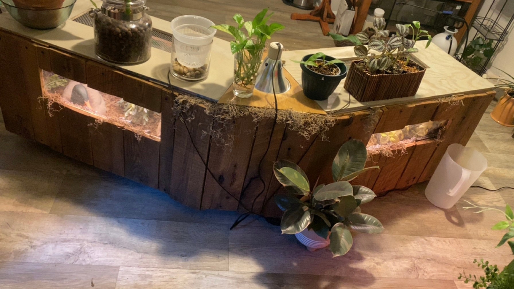 Reptile Rooms - Custom Built Reptile Enclosures - Etsy