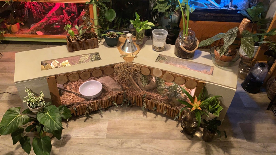 Reptile Rooms - Custom Built Reptile Enclosures - Etsy