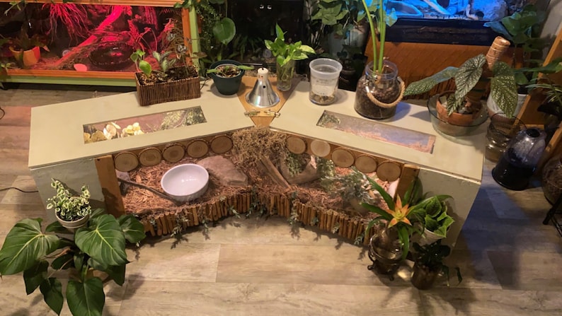 Reptile Rooms - Custom Built Reptile Enclosures - Etsy