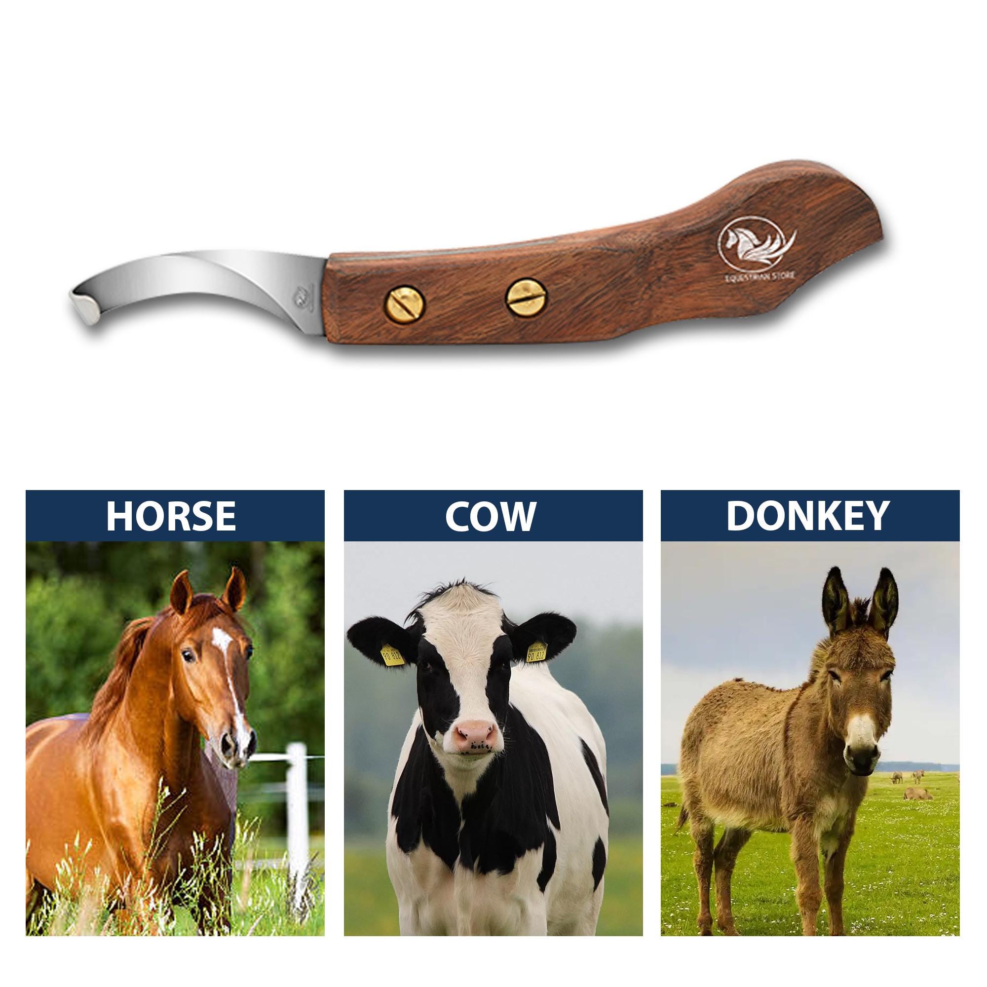 J2 Steel Hoof Knife: Ergonomic Farrier Tool for Horse, Cow, Goat - Etsy