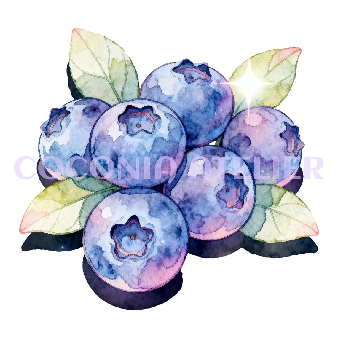 Watercolor - Magic Blueberry Clip Art - PNG - Transparent Background ...