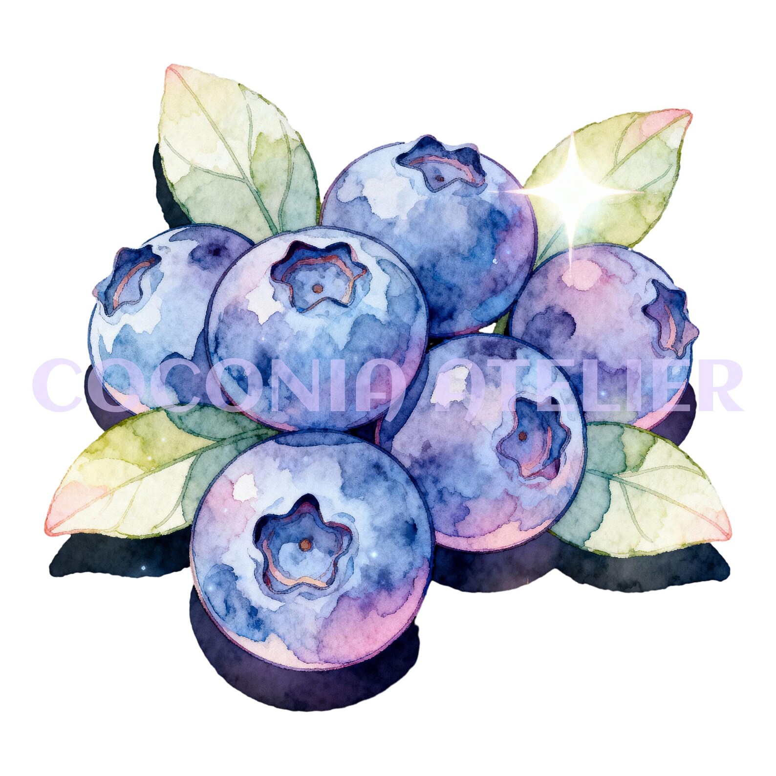 Watercolor - Magic Blueberry Clip Art - PNG - Transparent Background ...