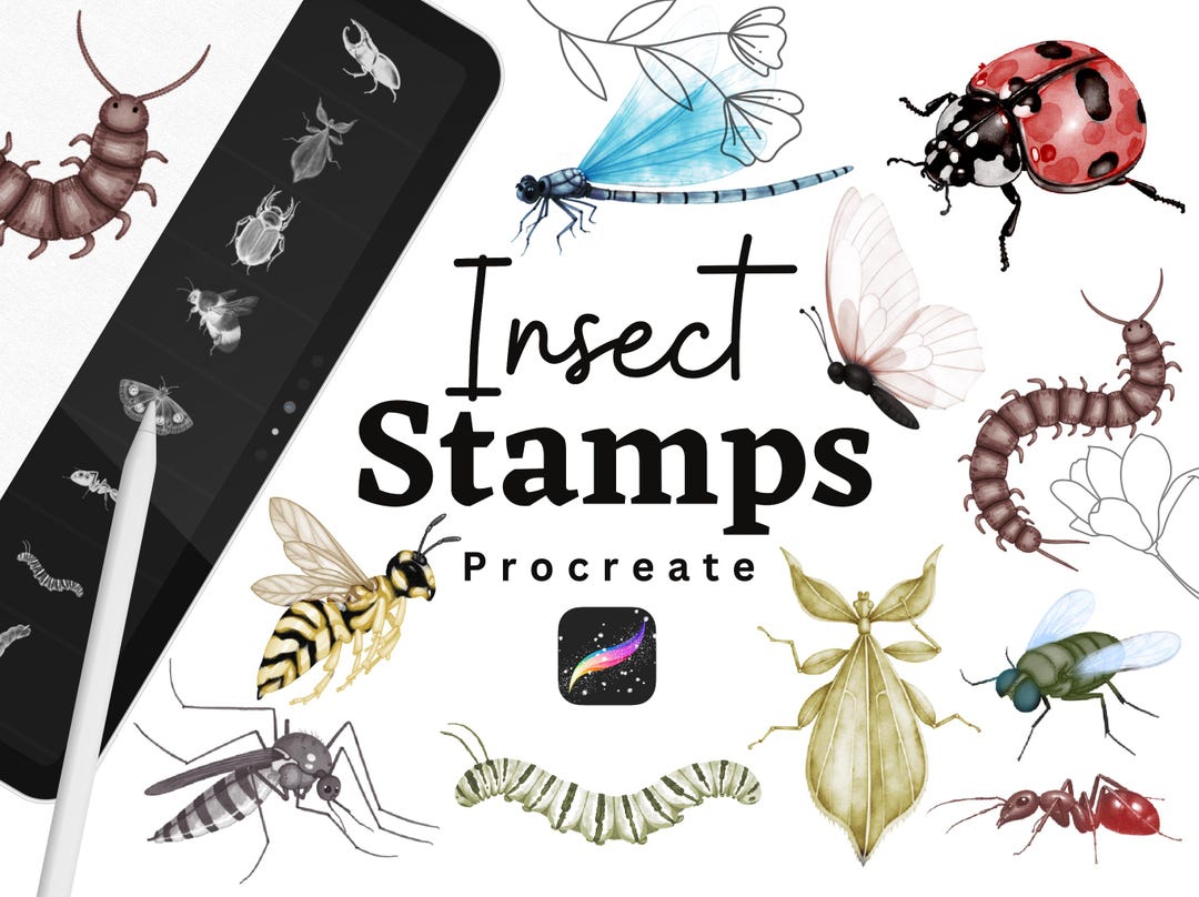 Insect Procreate Watercolor Stamps, Animal Stamps for Procreate ...