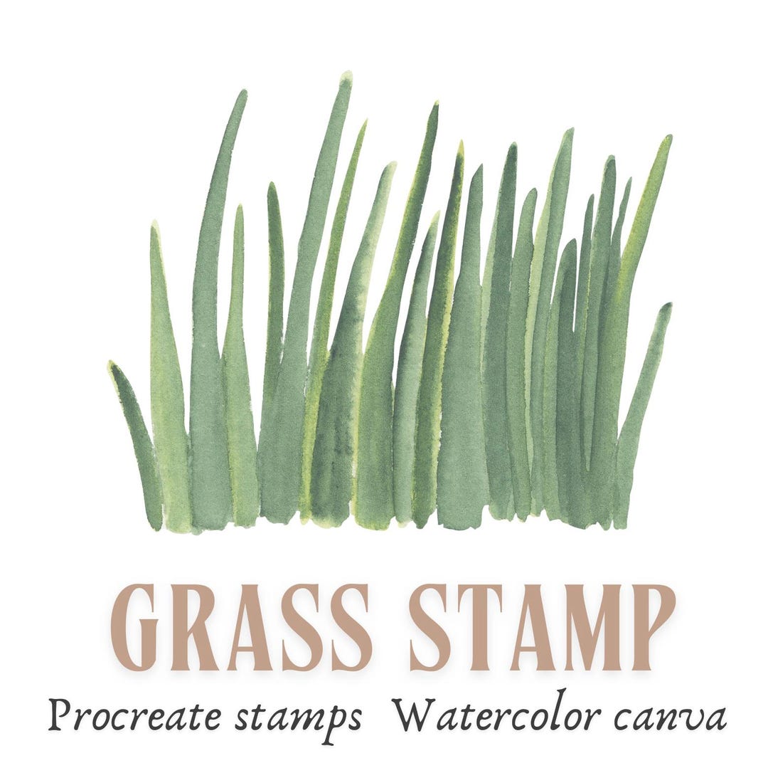 Procreate Grass Stamps | Hand-drawn Grass Brushes for Procreate ...