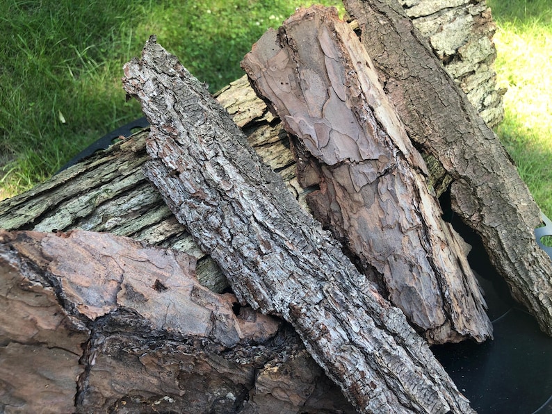 One Gallon Bag Tree Bark Vivarium Filler, Terrarium Filler, Bark for ...