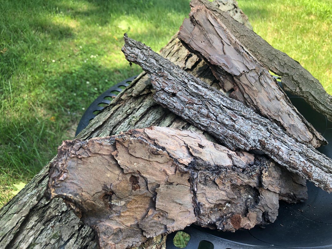 Natural Tree Bark – 1 Gallon Bag of Unique Forest Harvested Bark Pieces ...