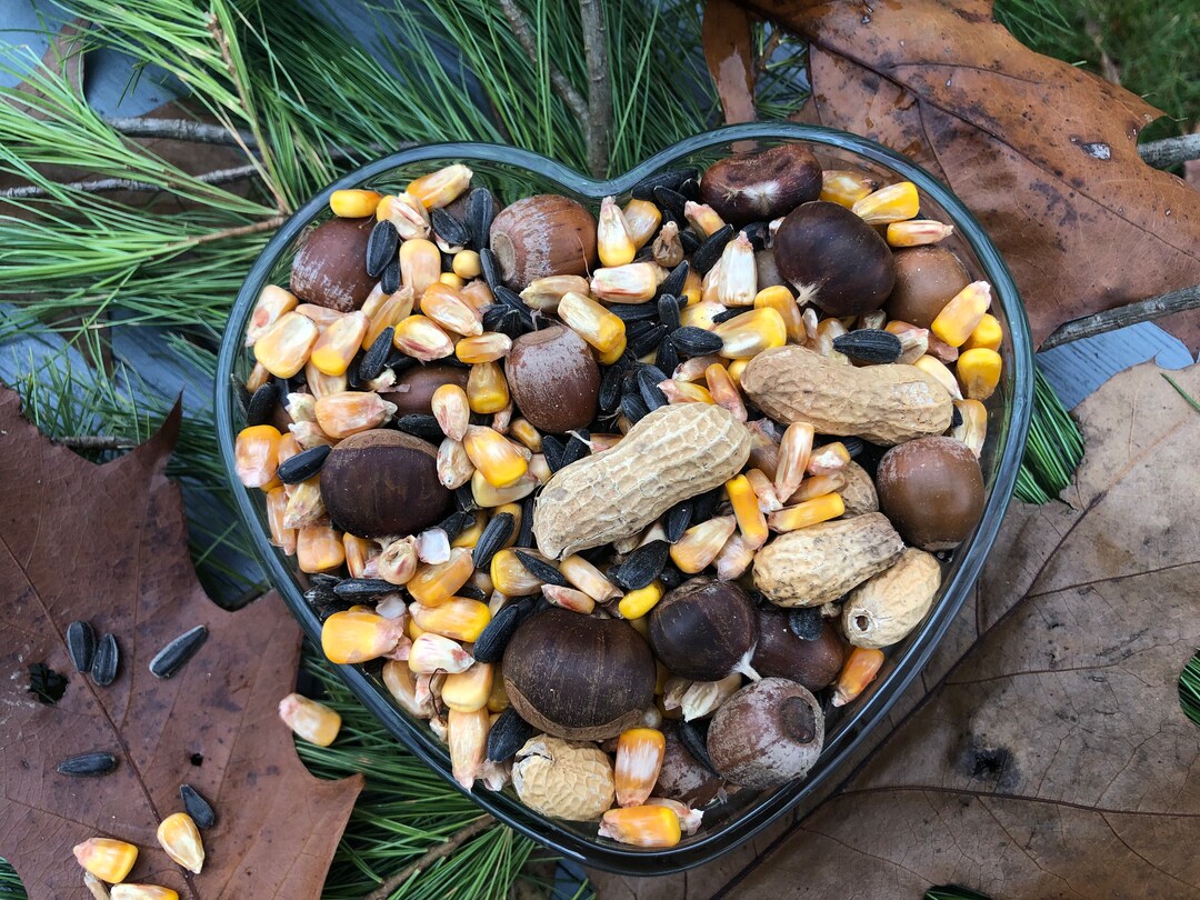 Woodland Squirrel & Wildlife Food Mix – Acorn, Corn, Chestnut and ...
