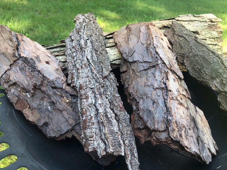 One Gallon Bag Tree Bark Vivarium Filler, Terrarium Filler, Bark for ...