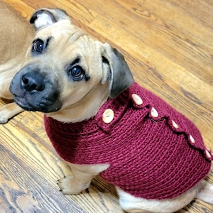Pet Sweater With Snaps/buttons - Customization and More Colors ...
