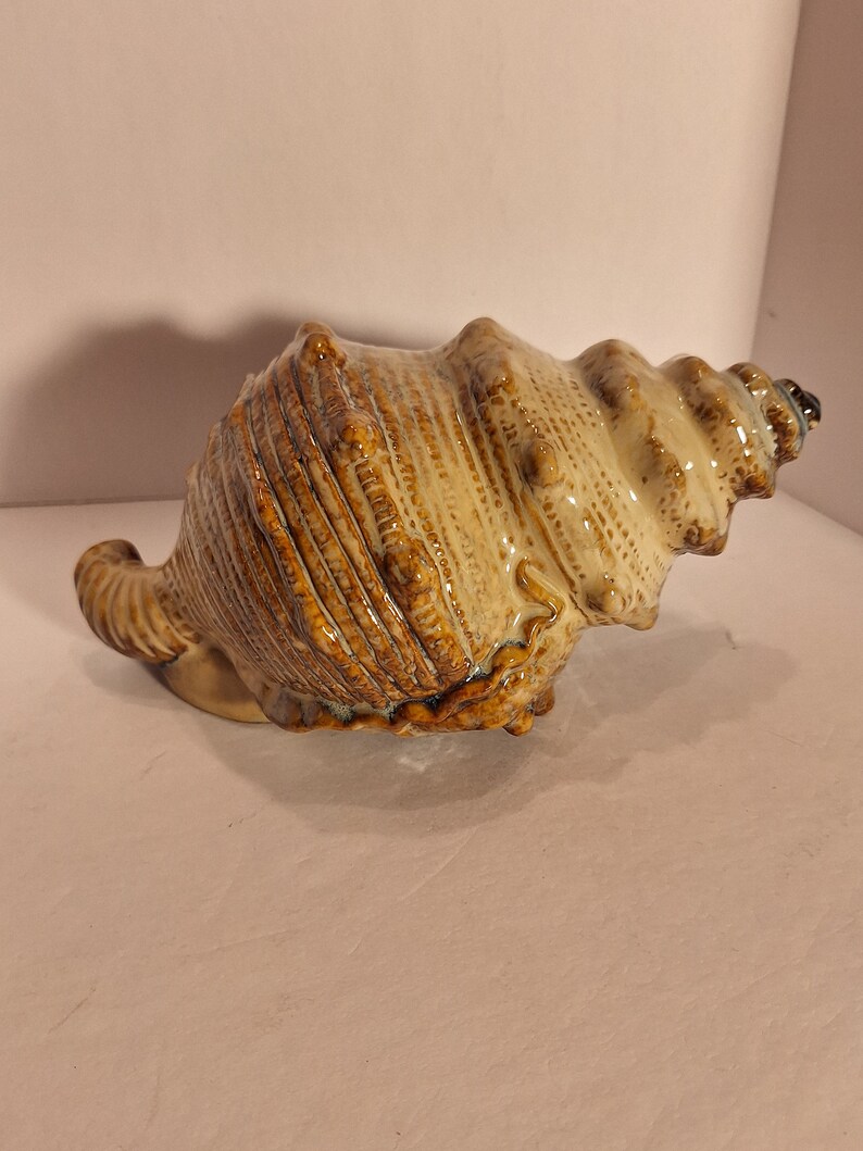 Decorative Ceramic Sea Shell - Etsy