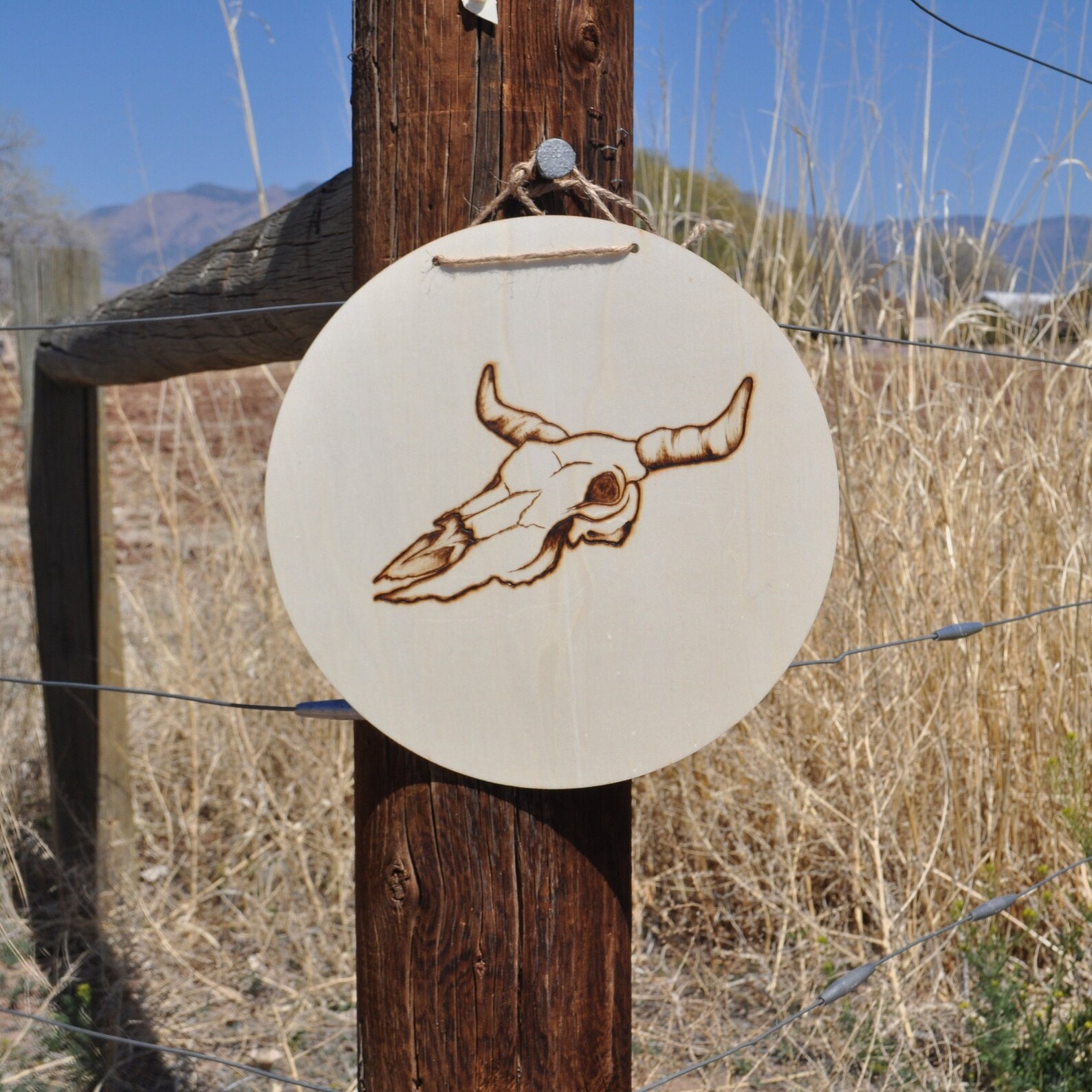 Hand-burned Cow Skull Pyrography Art | Rustic Western Wall Decor ...