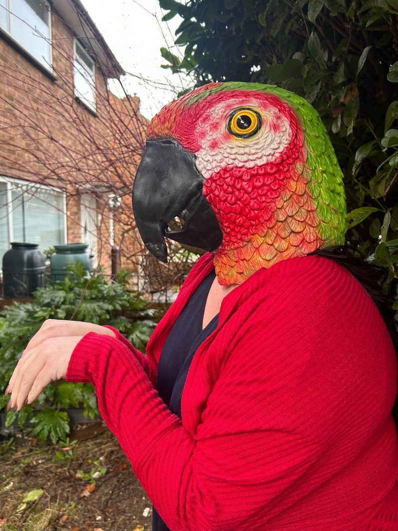 Novelty Parrot Mask - Etsy