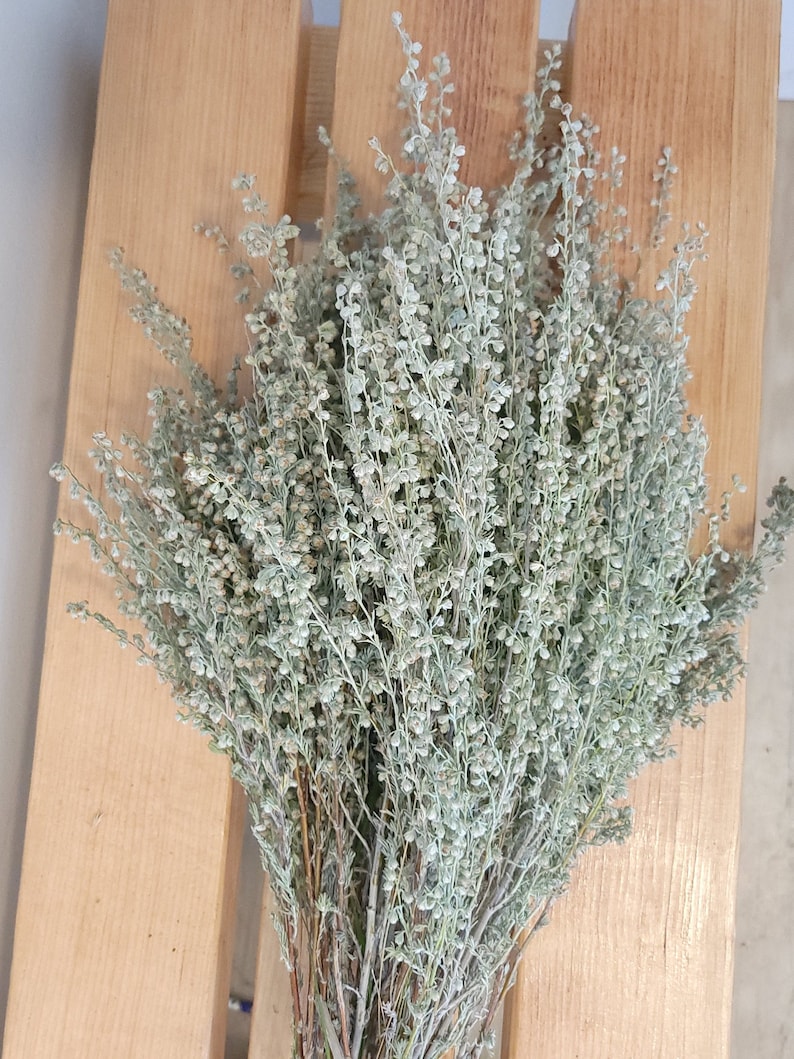 Dried Fringed Sage Artemisia Frigida DIY Flower Arrangement - Etsy