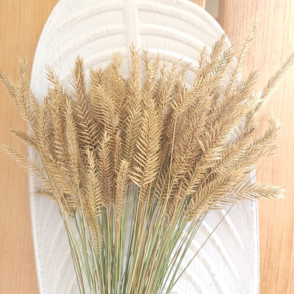 Dried Wheat - Etsy