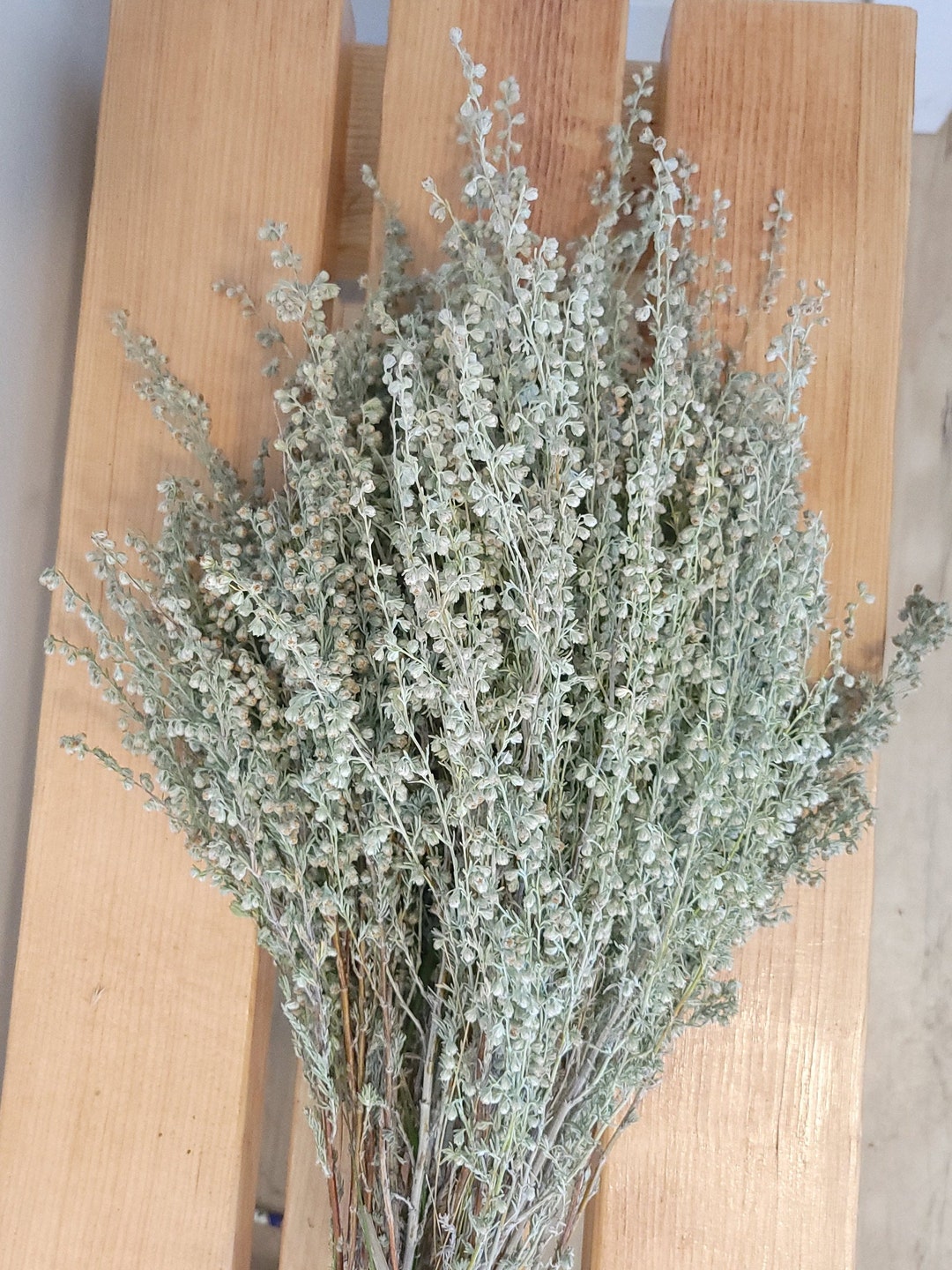 Dried Fringed Sage Artemisia Frigida DIY Flower Arrangement - Etsy