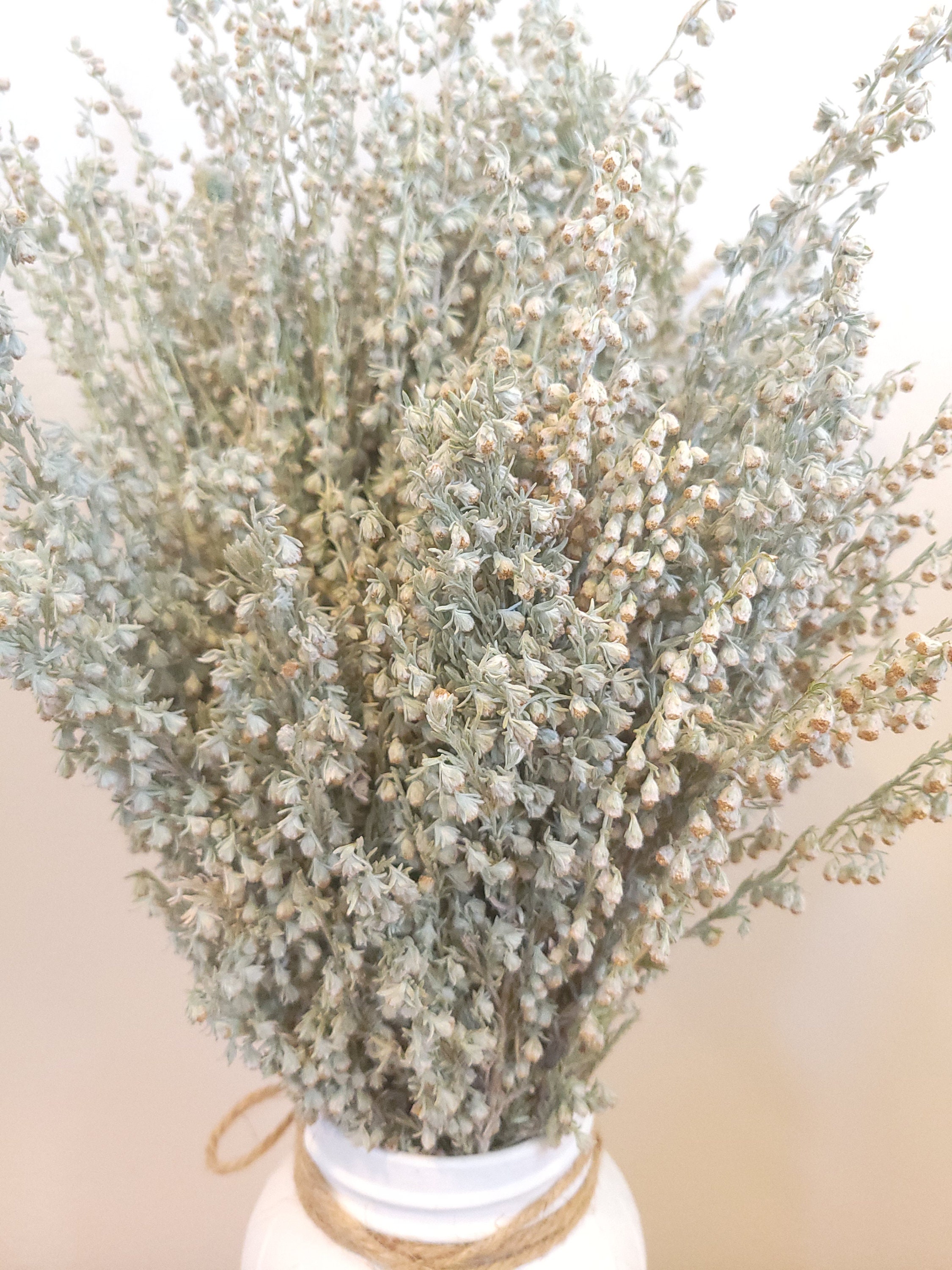 Dried Fringed Sage Artemisia Frigida DIY Flower Arrangement - Etsy