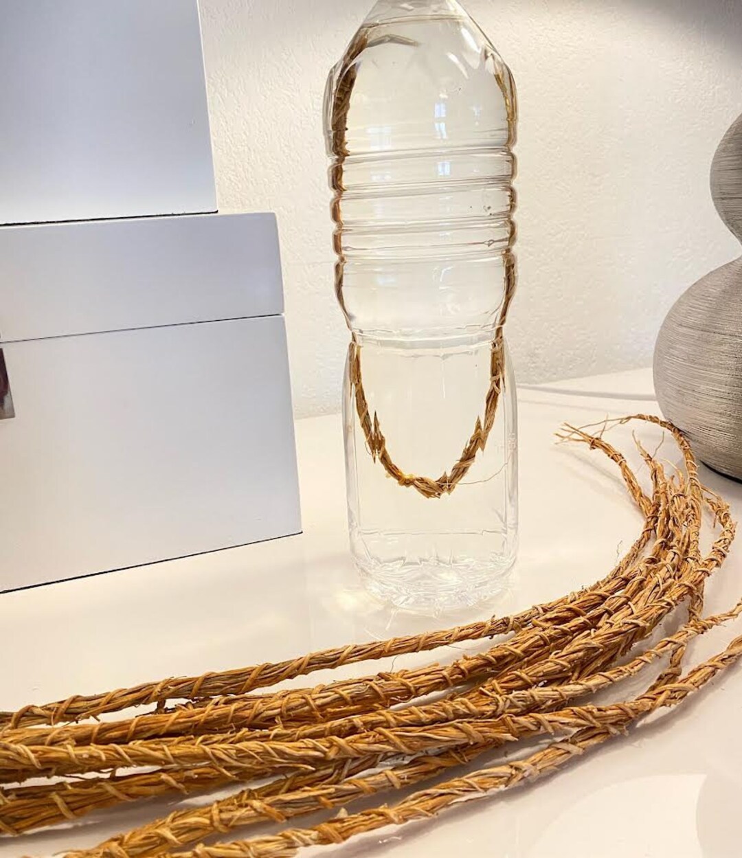 TIGES KHAMARE Vétiver, Gongoli - Etsy France