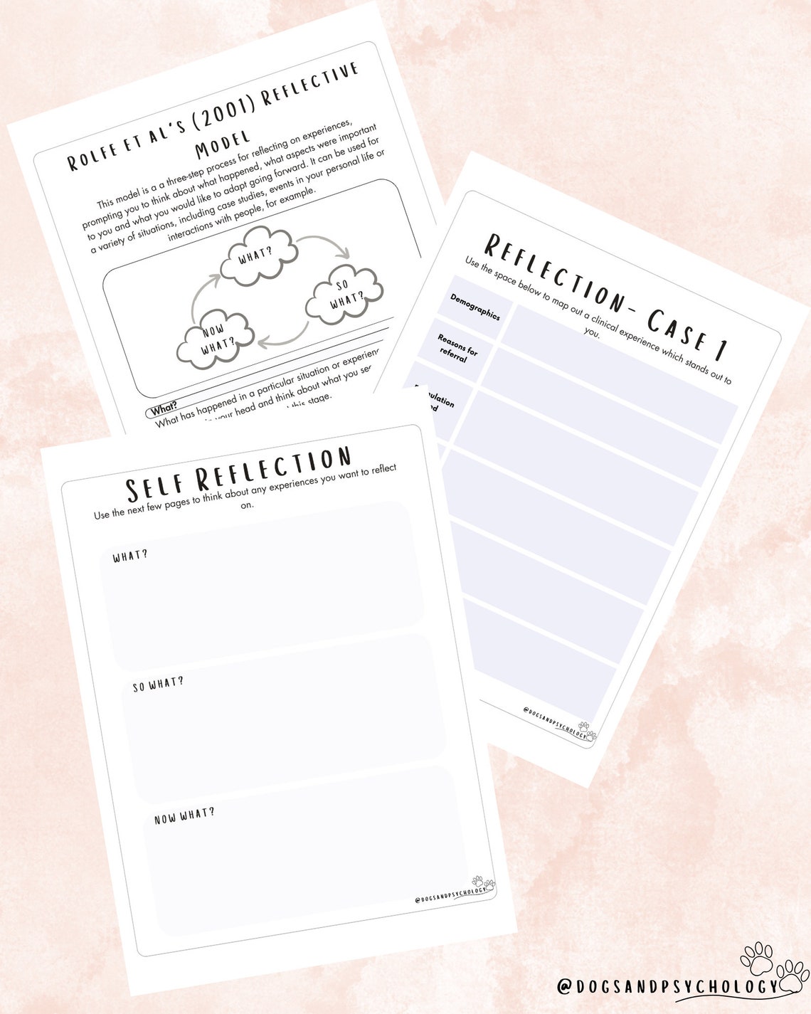 Reflective Model Template (rolfe Et Al., 2001) - Etsy