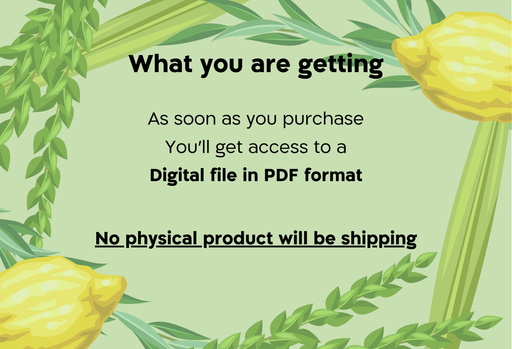 Sukkot Bingo Game: Festival of Booths, 30 Cards (digital Download) - Etsy