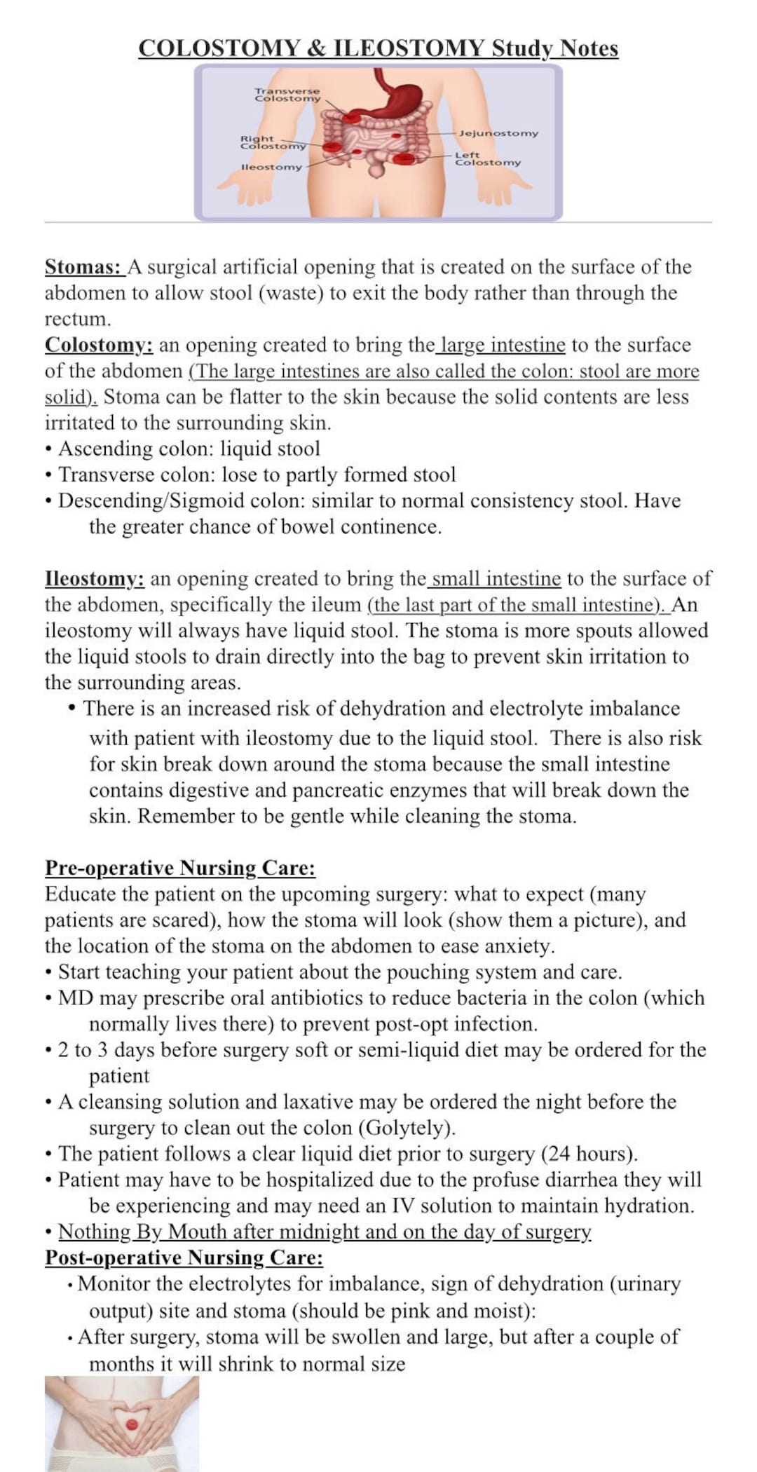 Colostomy & Ileostomy Study Notes - Etsy