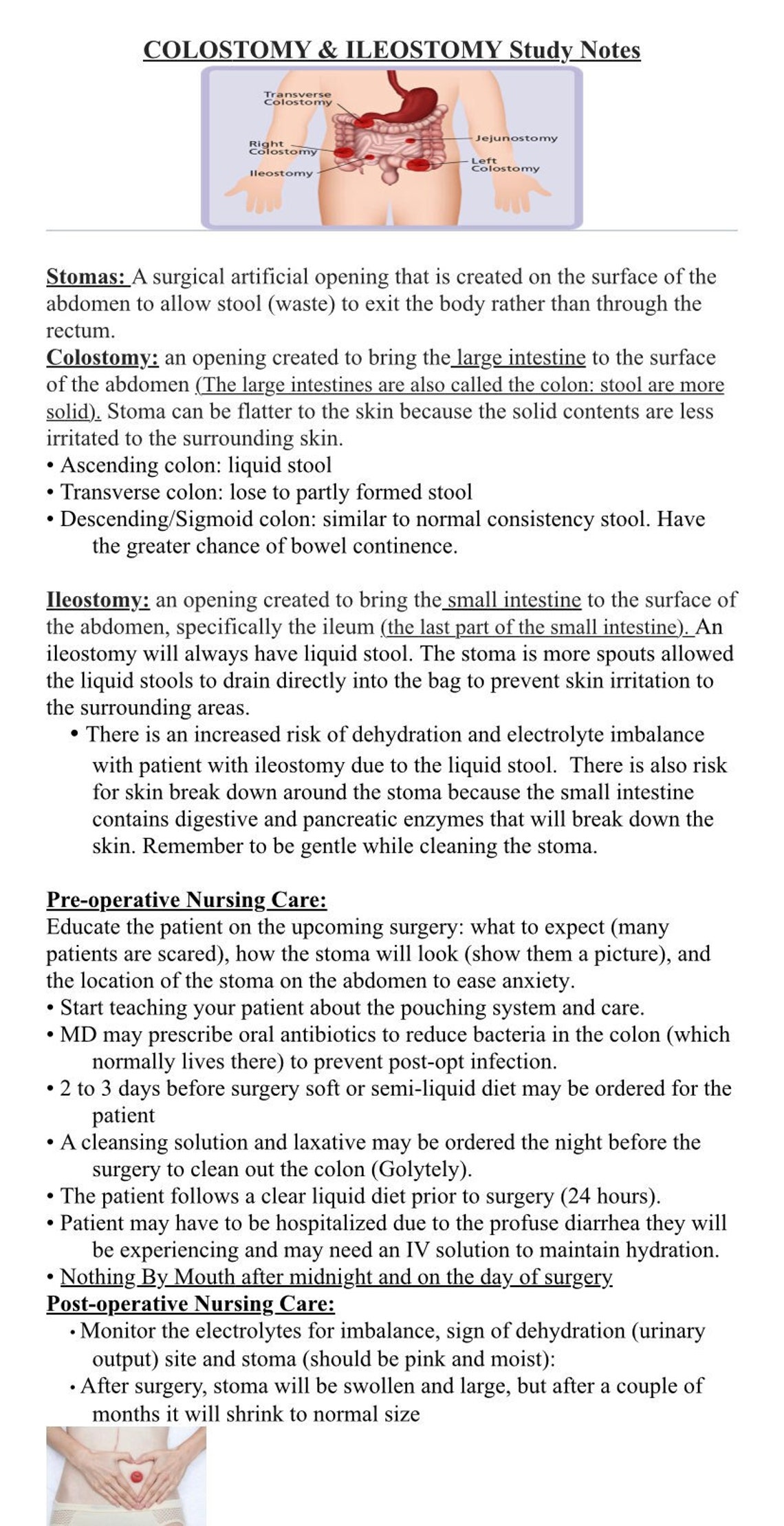 Colostomy & Ileostomy Study Notes - Etsy