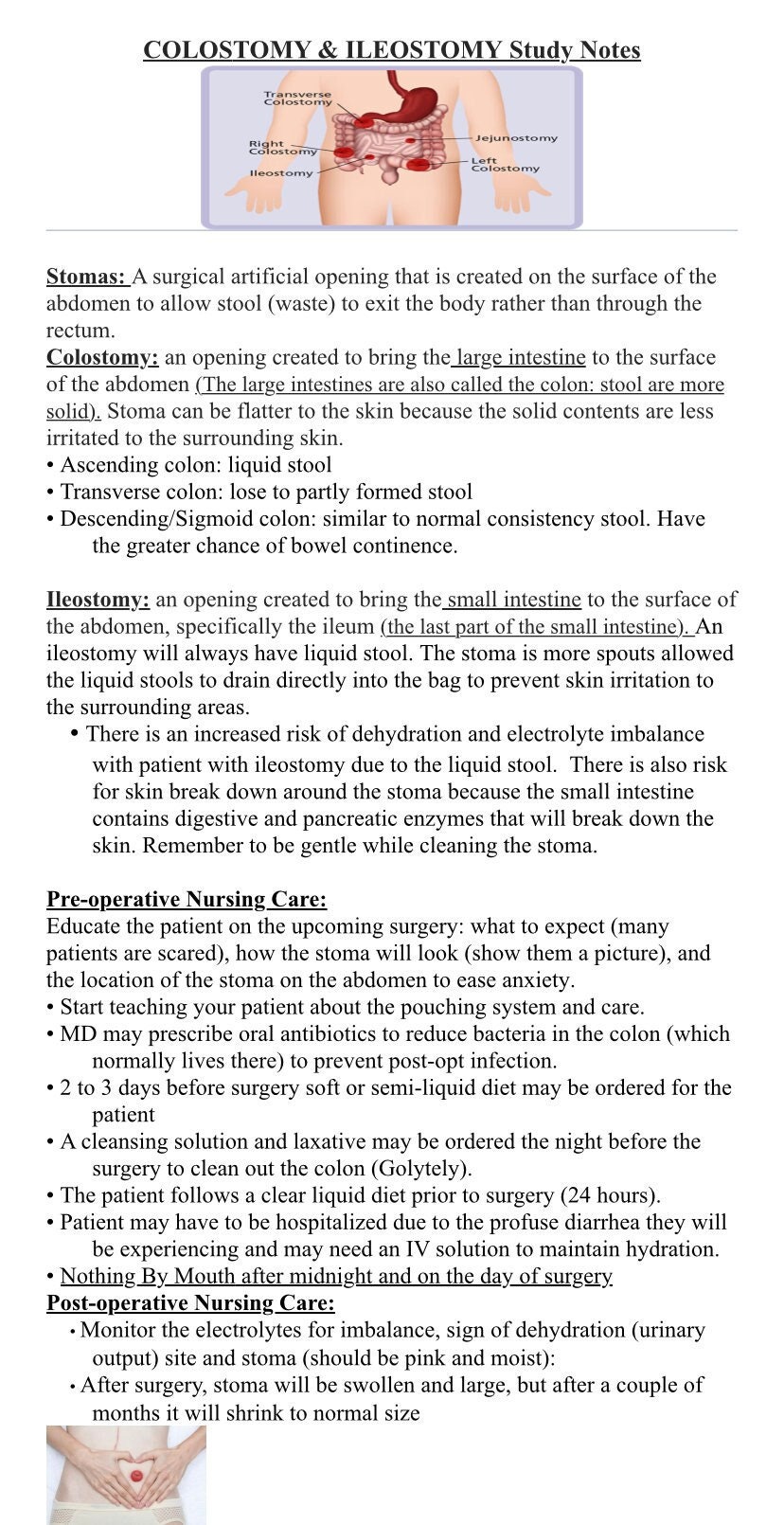 Colostomy & Ileostomy Study Notes - Etsy