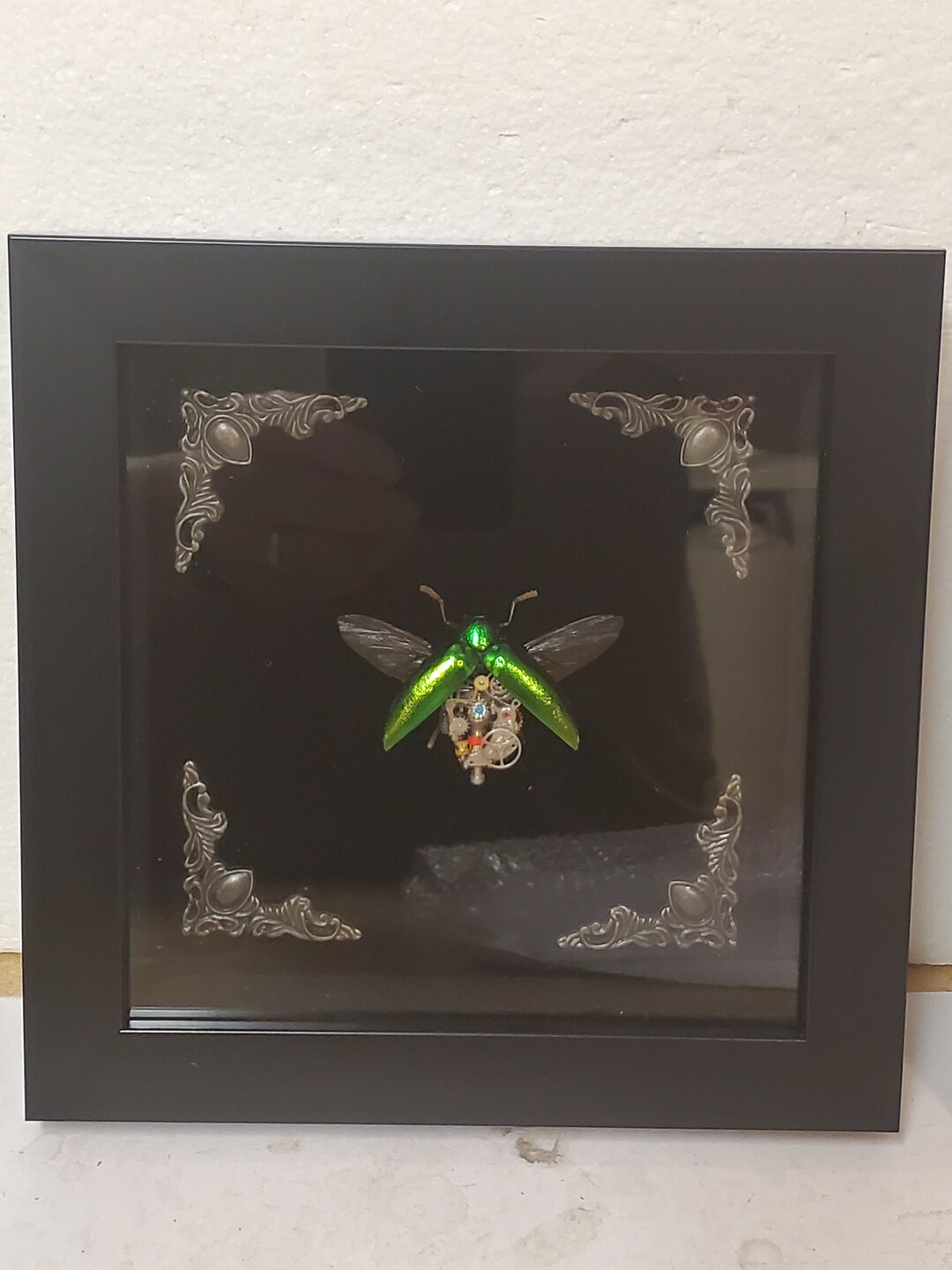 C3 Gem Beetle Steampunk Bugs Bio Mechanical REAL Bug Sculpture Framed ...