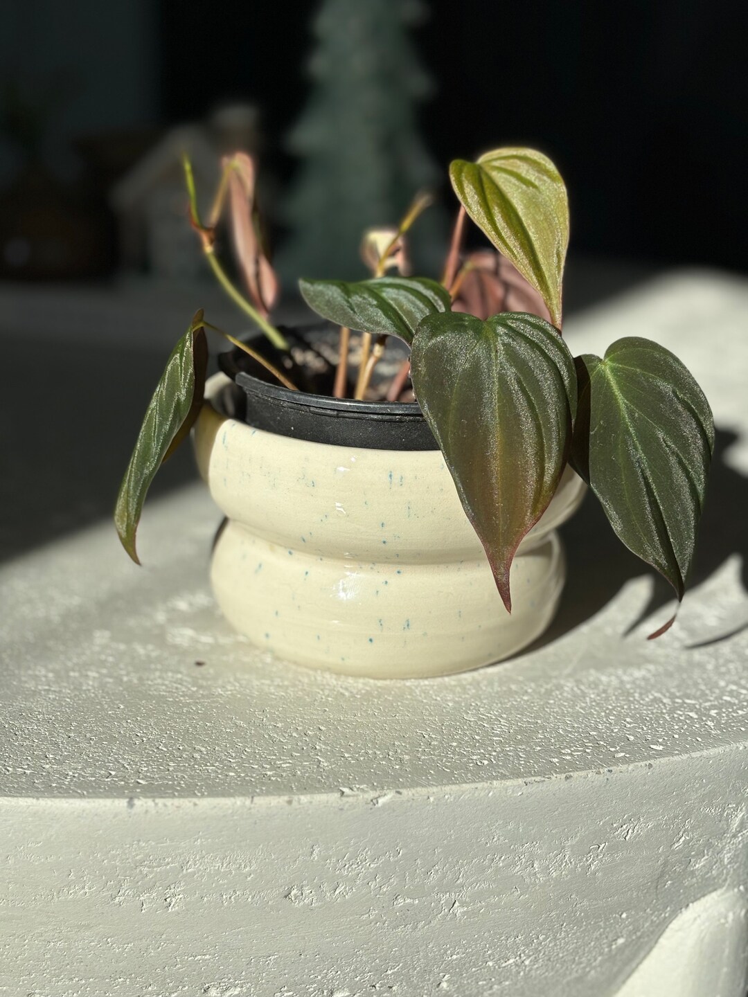 Blush Pink With Blue Specks Ceramic Planter Handmade Bubble Pot With ...