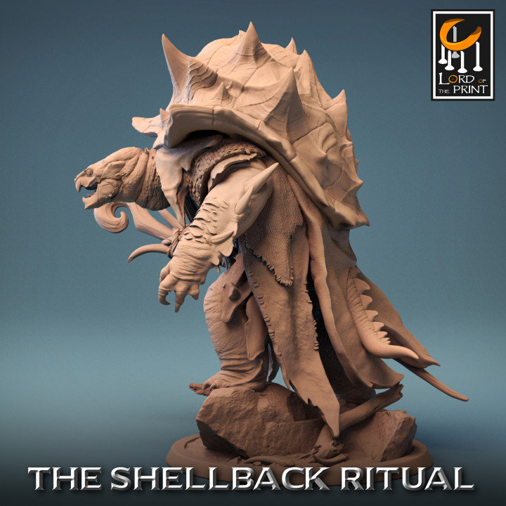 Shellback Shellspike Turtle the Shellback Ritual by Lord of the Print ...