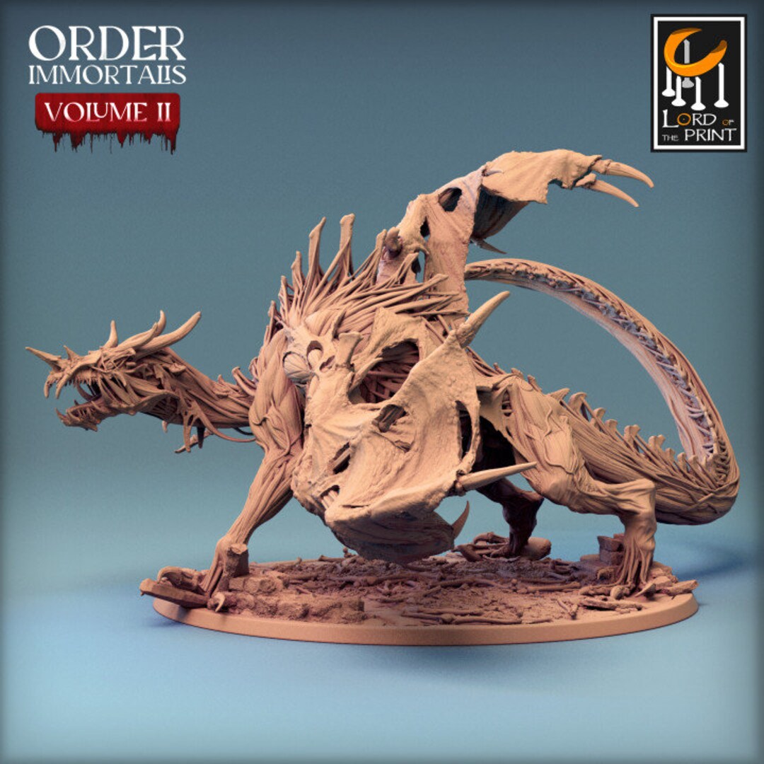 Dragon Drake Attack Order Immortalis V2 by Lord of the Print Fantasy ...