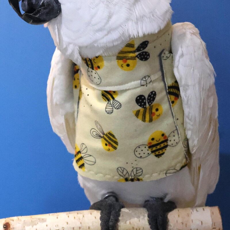 Bird Flight Suit - Etsy