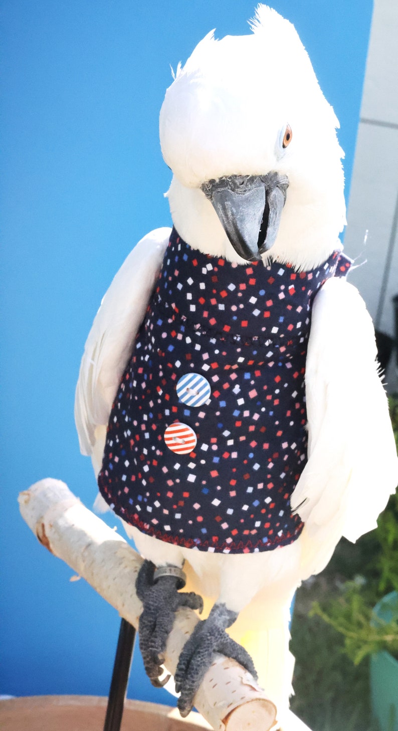 Patriotic Vest for Umbrella Cockatoo - Etsy