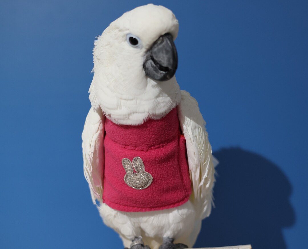 Cockatoo Hot Pink Bunny Patch Sweater - Etsy