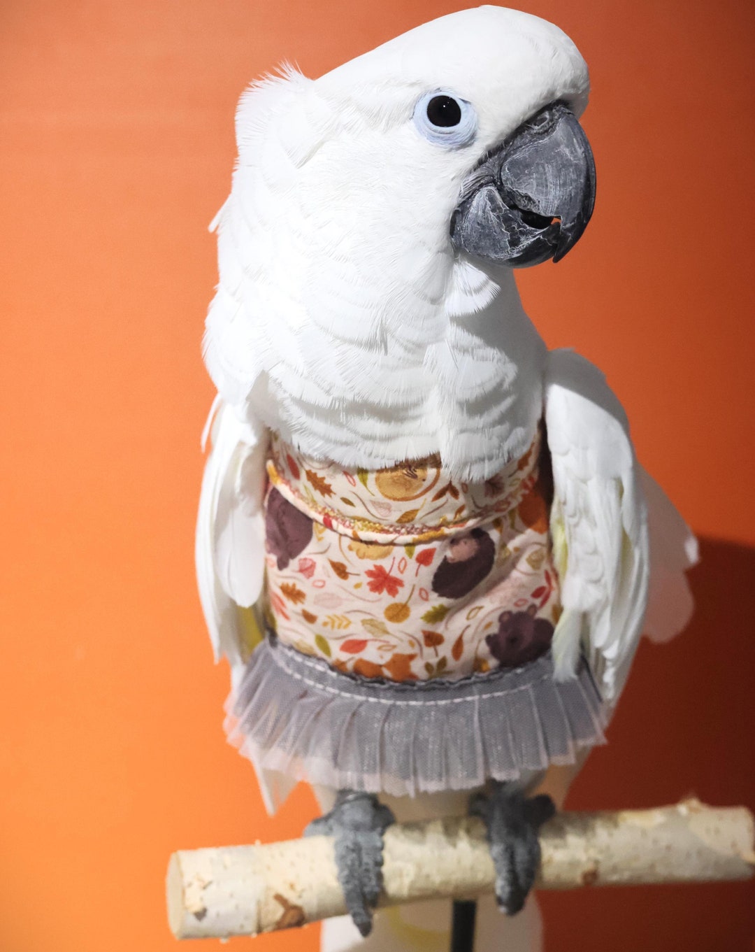 Woodland Animal Print Dress 2 Harness for Umbrella Cockatoo - Etsy