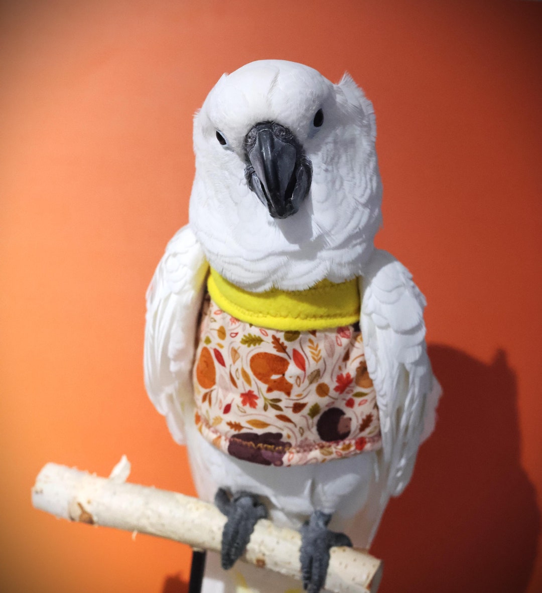 Cozy Forest Animal Dress Exclusive for Umbrella Cockatoos - Etsy