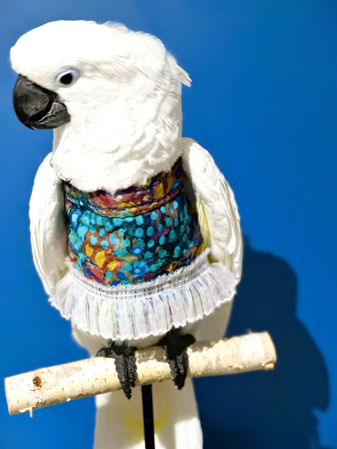 Umbrella Cockatoo Dress With D-link Included - Etsy