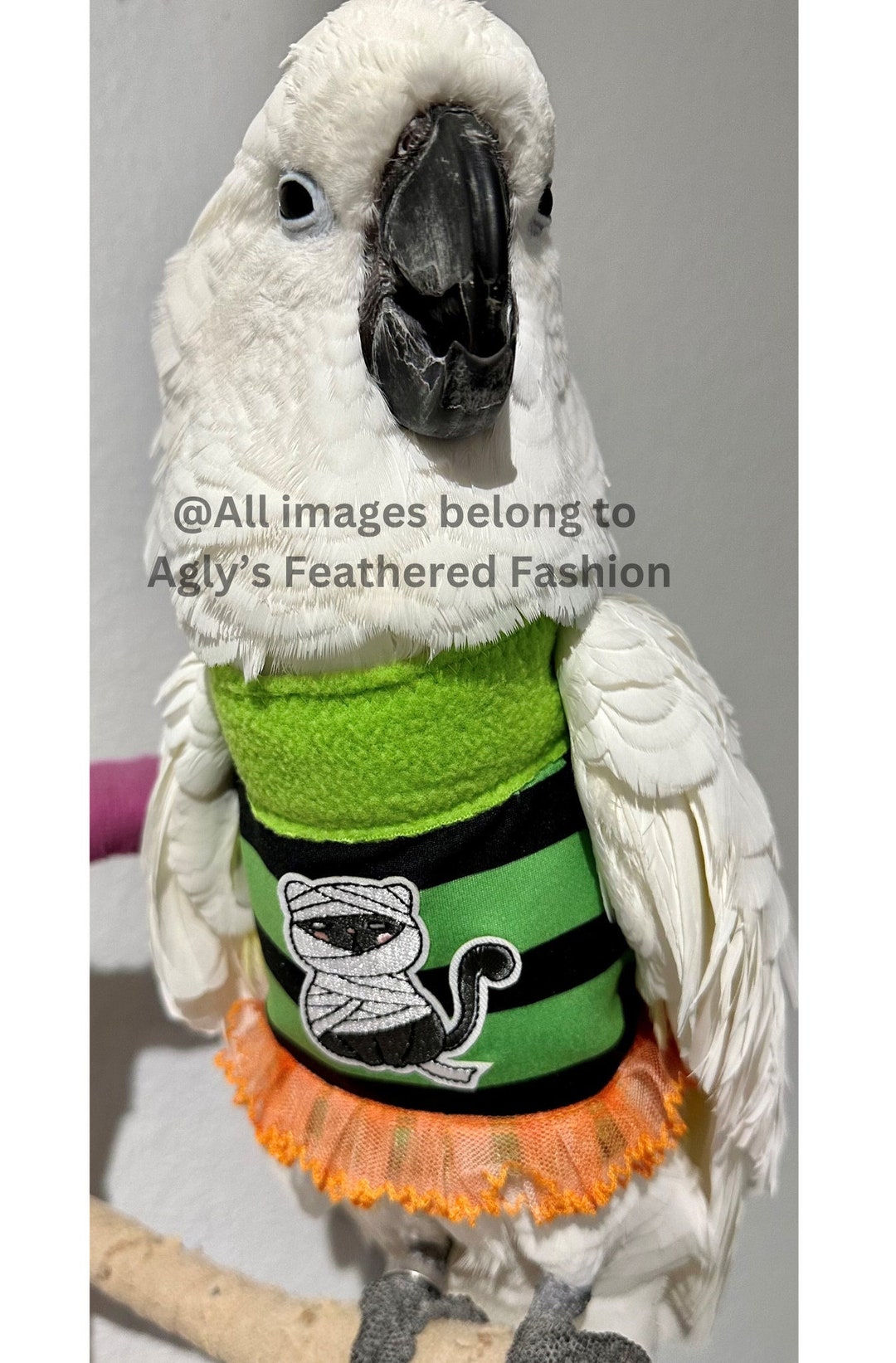 Halloween Cat Mummy Outfit for Cockatoos - Etsy
