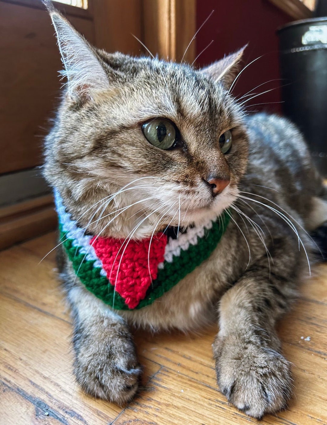 Crochet Cat Collar Palestine Flag, Watermelon: Handmade 100% Cotton ...