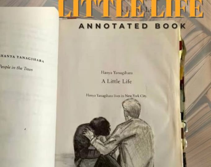 A Little Life By: Hanya Yanagihara (annotated Commission) - Etsy