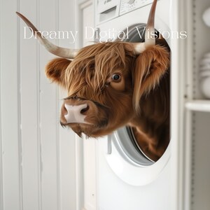 Highland Cow Laundry Print, Laundry Room Decor, Utility Room Print ...