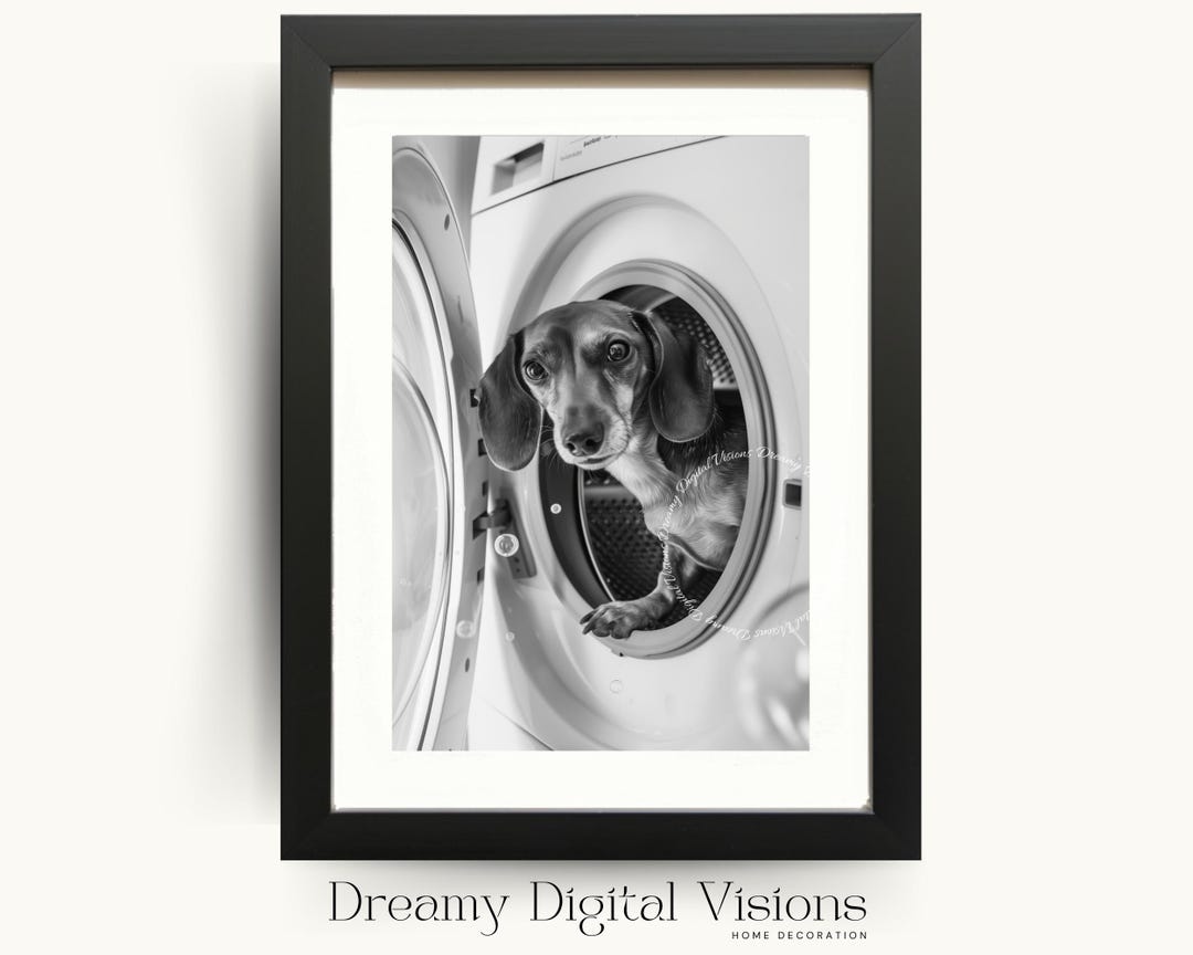 Cute Dachshund Print, Laundry Room Wall Art, Animal in Washing Machine ...