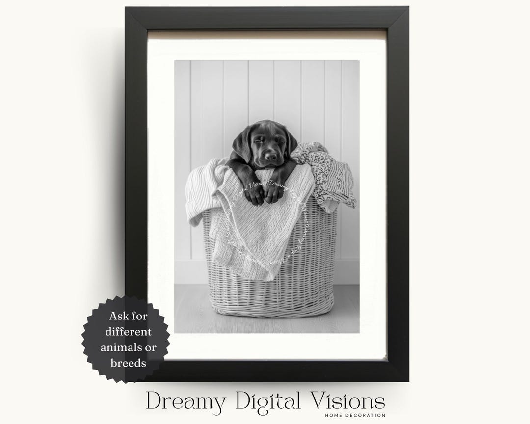 Adorable Black Labrador Puppy Asleep on a Laundry Basket, Laundry Wall ...