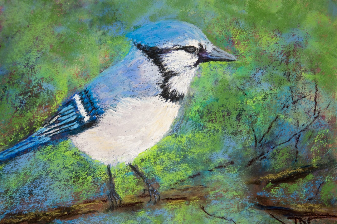 Blue Jay - Etsy