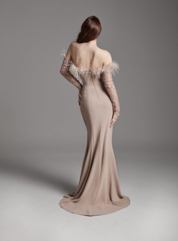 Feather Neck Fashionable Dress, off Shoulder Evening Wear, Elegant Lace ...