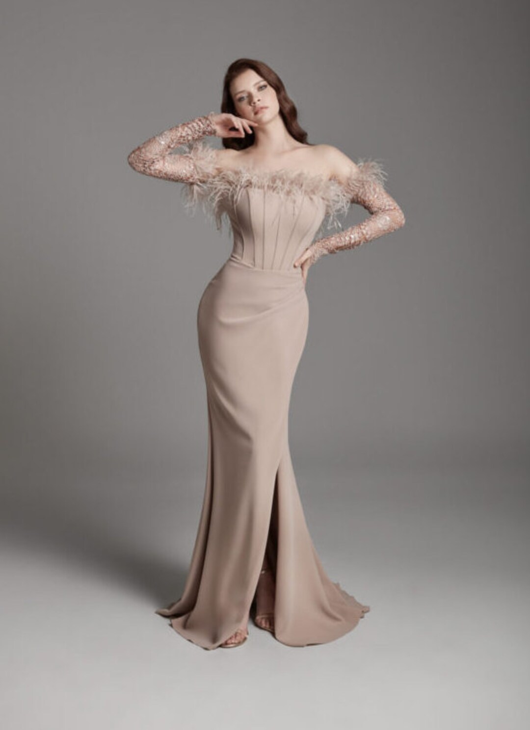 Feather Neck Fashionable Dress, off Shoulder Evening Wear, Elegant Lace ...