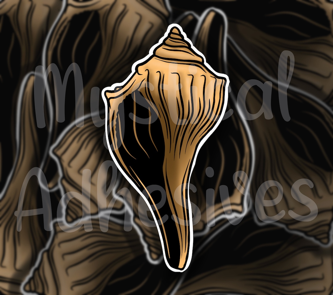 Seashell Sticker - Etsy