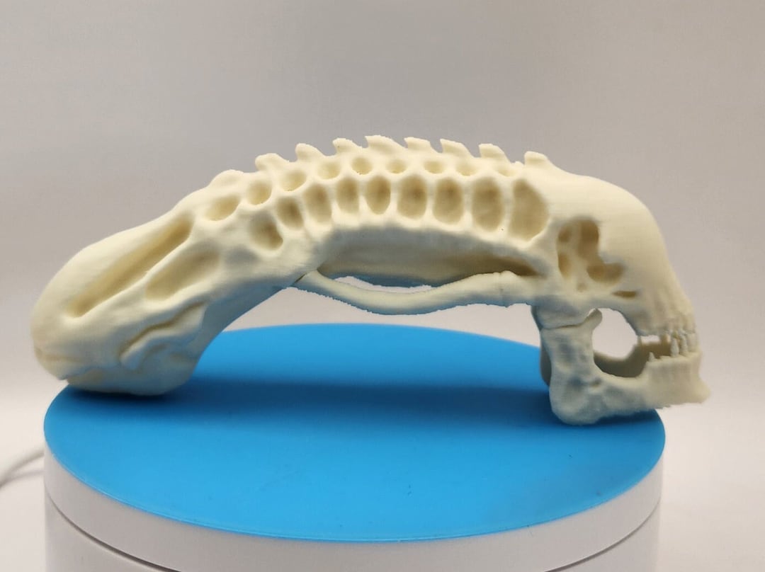 Alien Xenomorph Skull Trophy Bone - Etsy