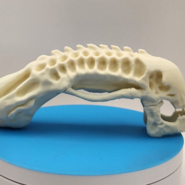 Neil Goldsmith's favorite items - Etsy